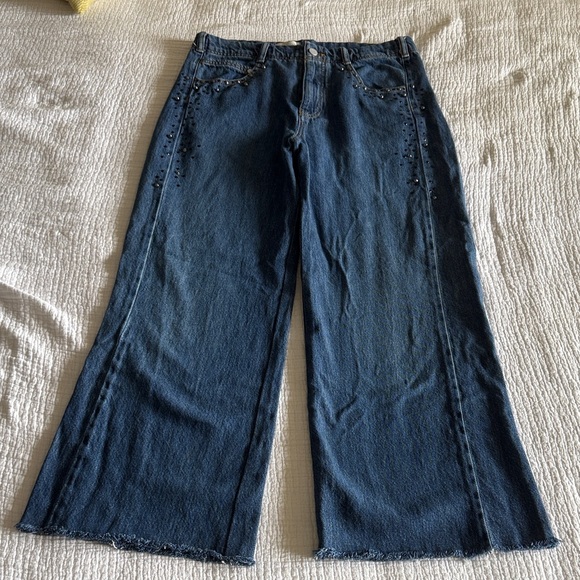 Pilcro | Jeans | Pilcro Embellished Wide Leg Jeans 29 Anthropologie ...